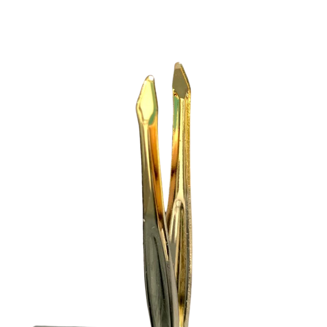 PINZAS - Argibrowspr Academy